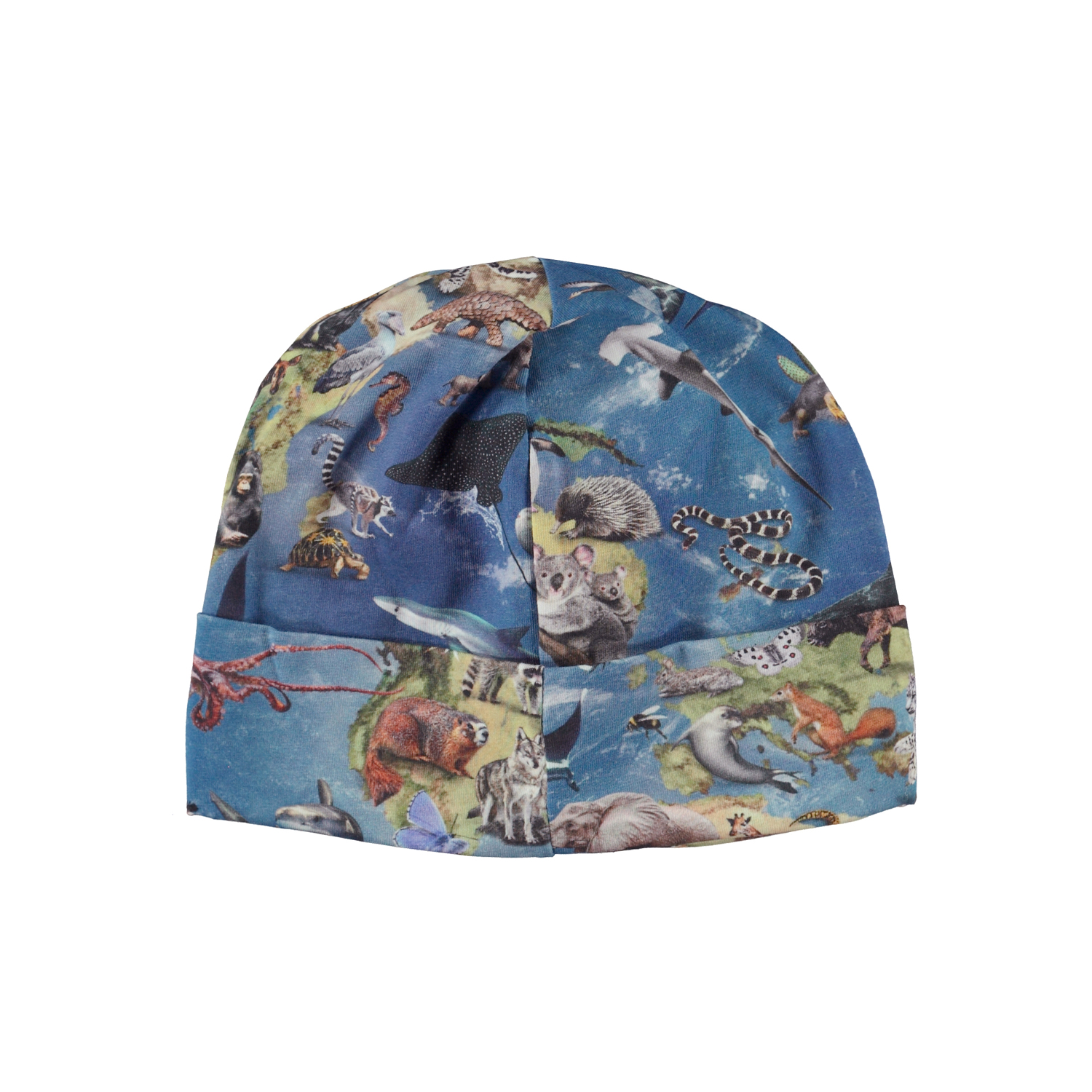 Nico - Animal Earth - Organic hat with animal print - Molo