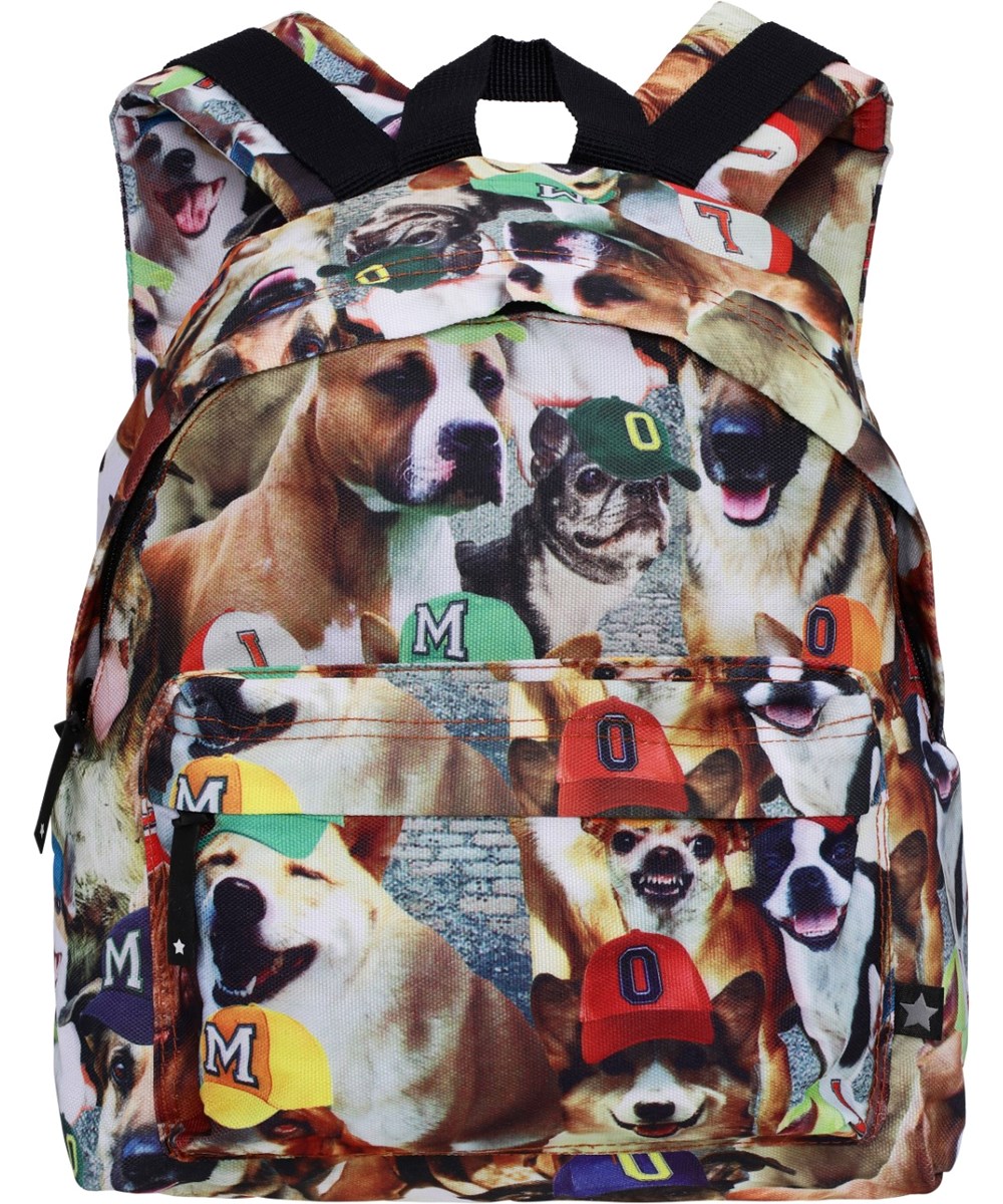 Backpack - NY Dogs - molo backpack with print - Molo