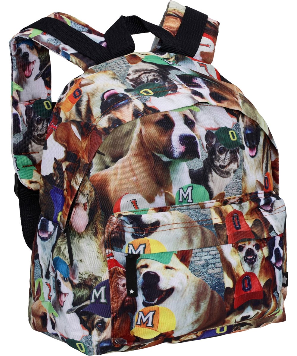 Backpack - NY Dogs - molo backpack with print - Molo
