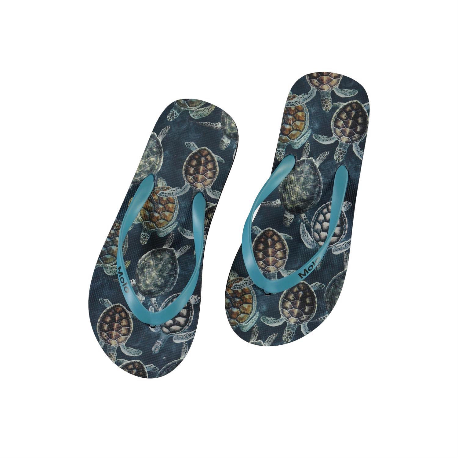 Zeppo - Sea Turtles - Flip flops with turtle print - Molo