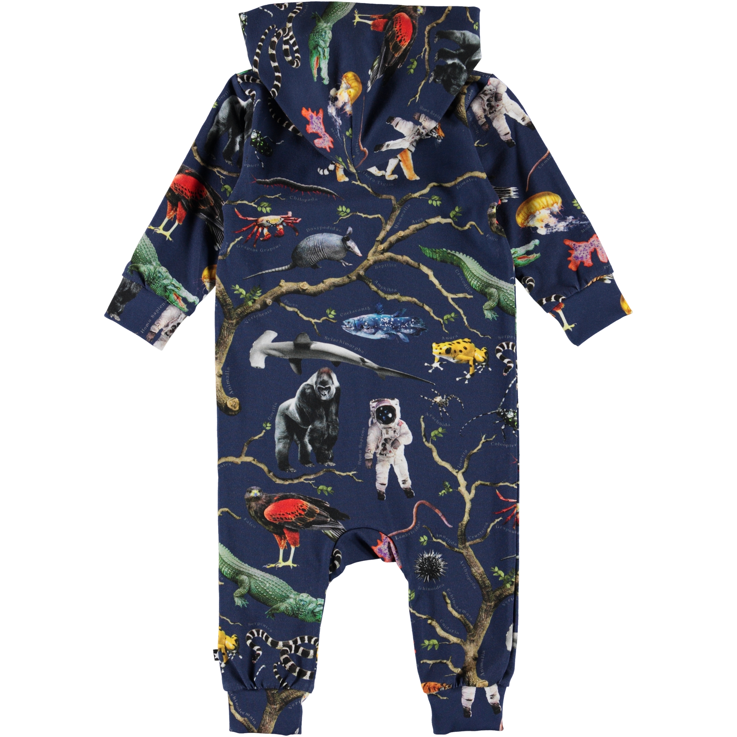 Fowo - Tree Of Life - Organic baby romper with hood - Molo
