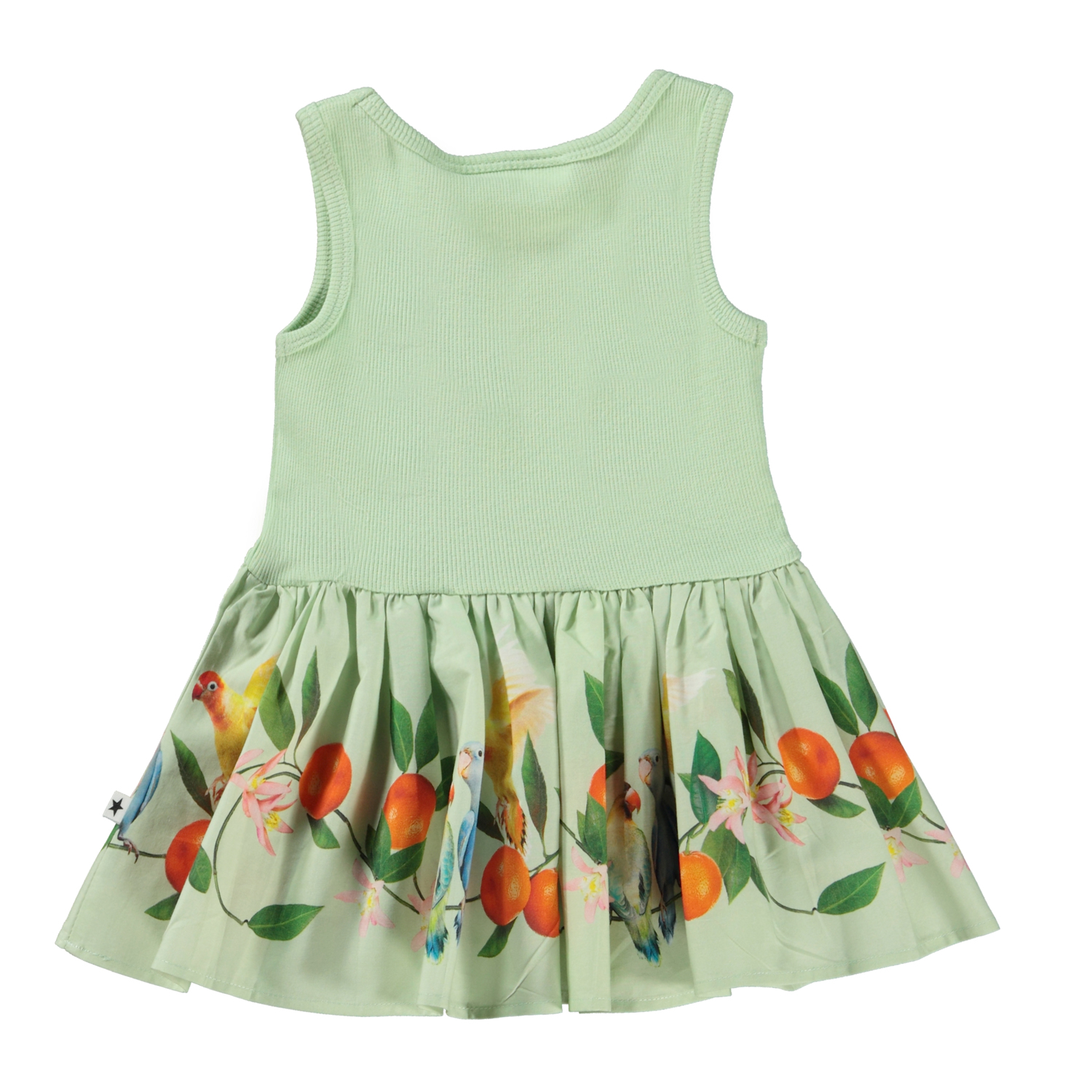 Cordelia - Sweet Parakeet - Green organic baby dress with birds and ...