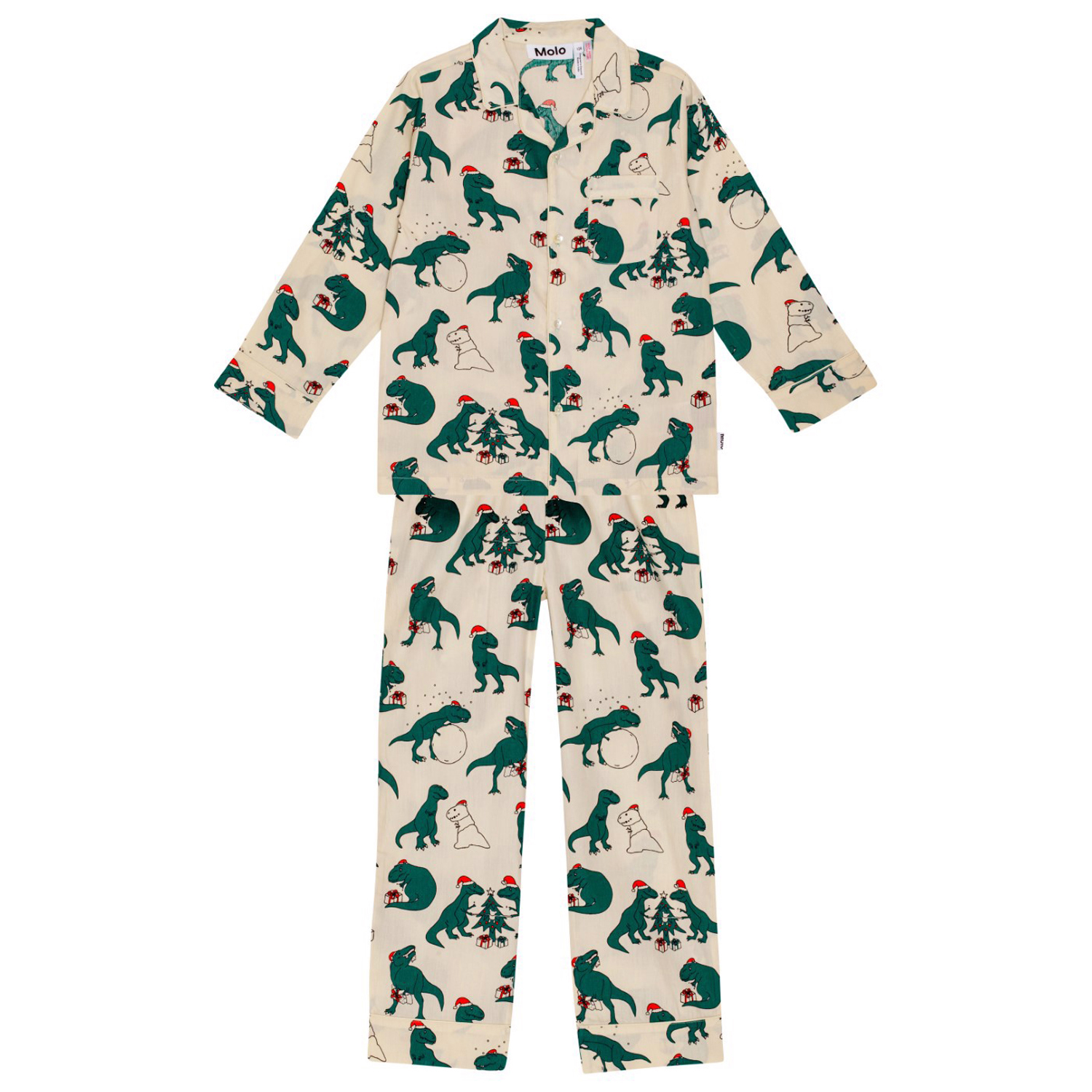 Dinosaur pyjamas womens store