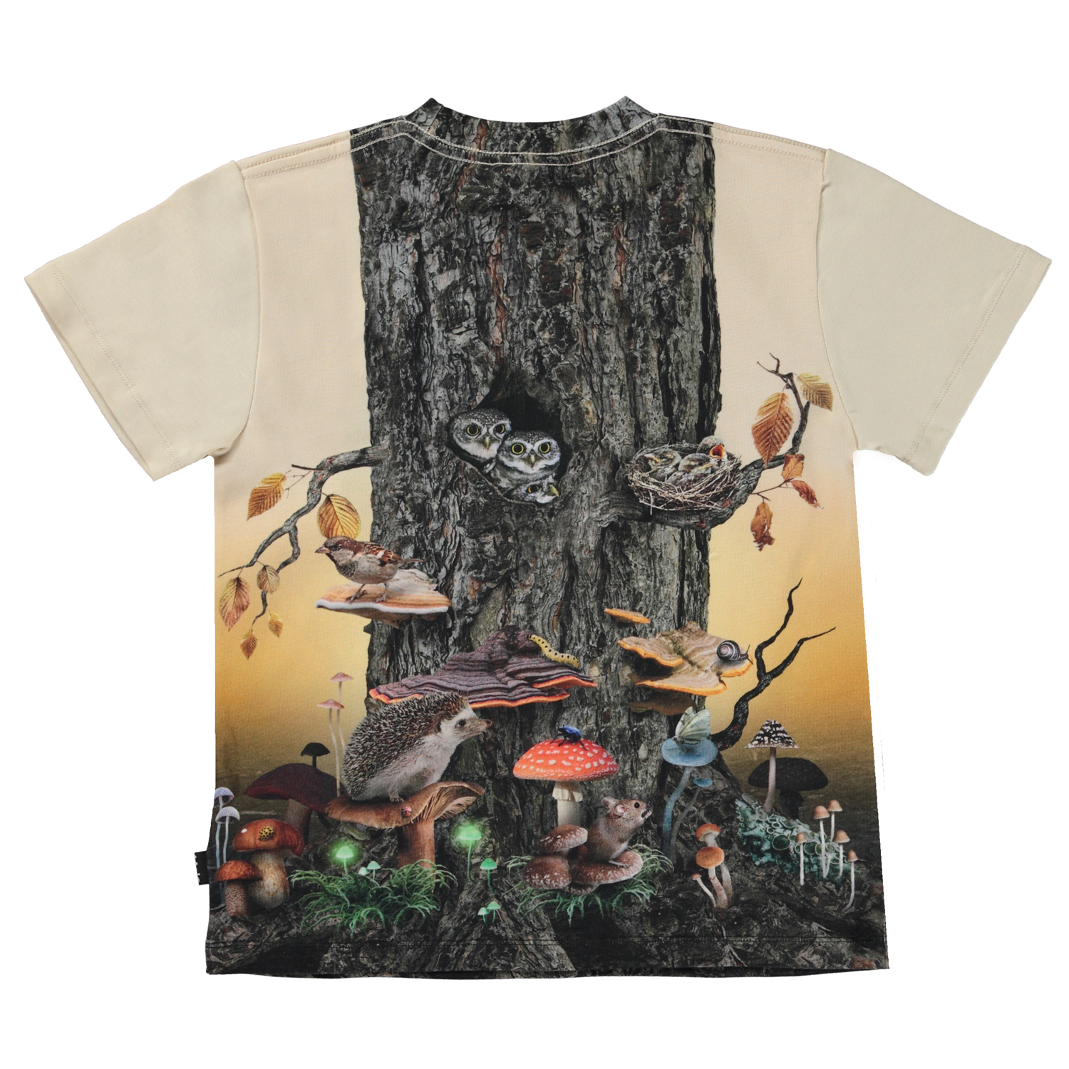 Roxo - Tree Life - Multi-coloured organic t-shirt with tree trunk print ...