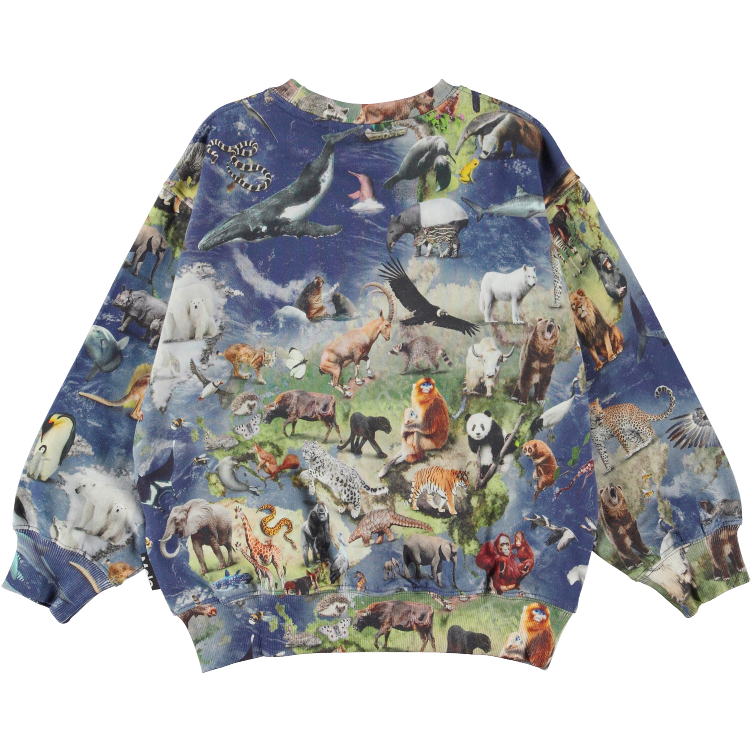 Monti - Amazing Earth - Unisex sweatshirt i blå med dyre print - Molo