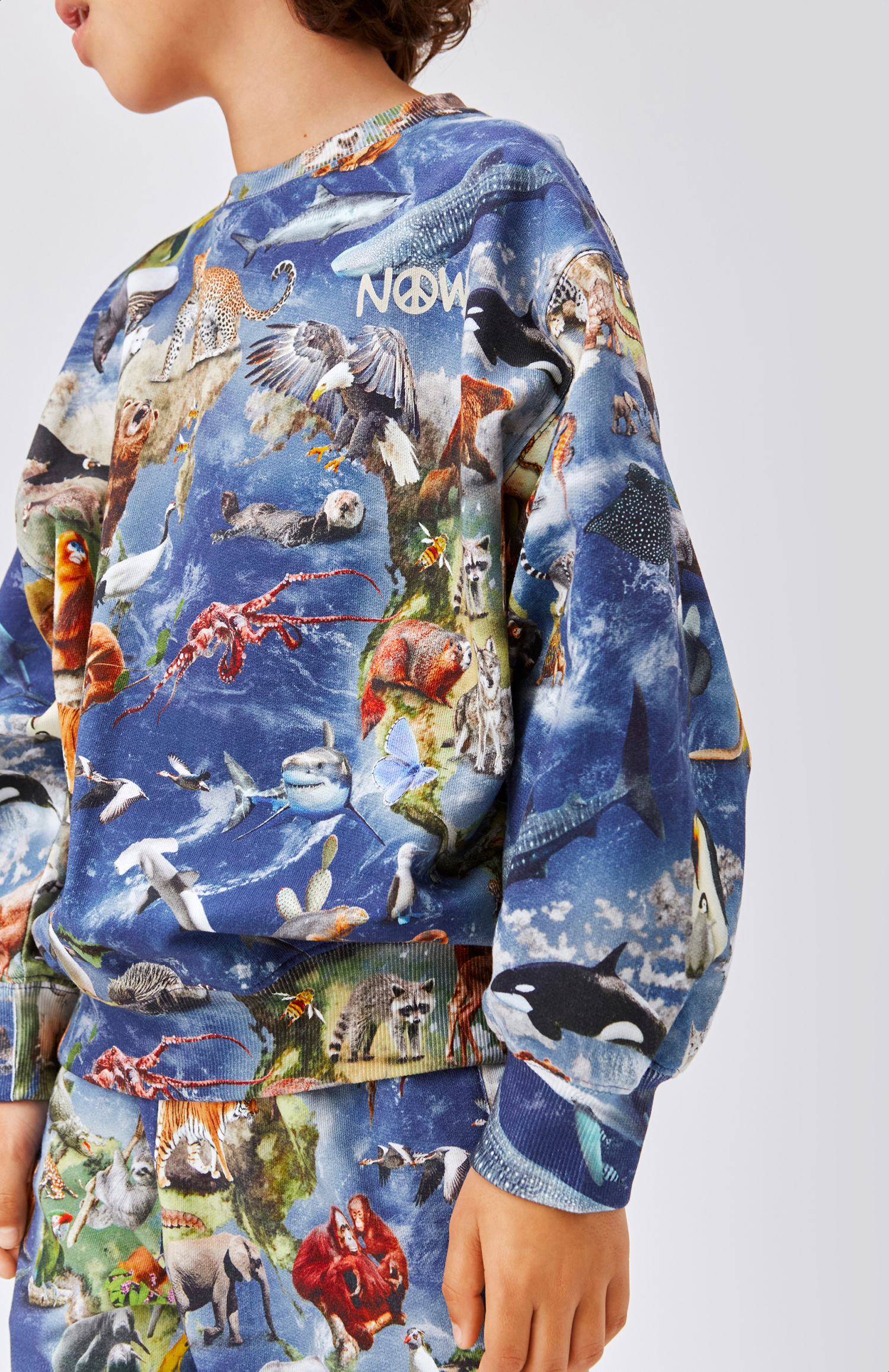 Monti - Amazing Earth - Unisex sweatshirt i blå med dyre print - Molo