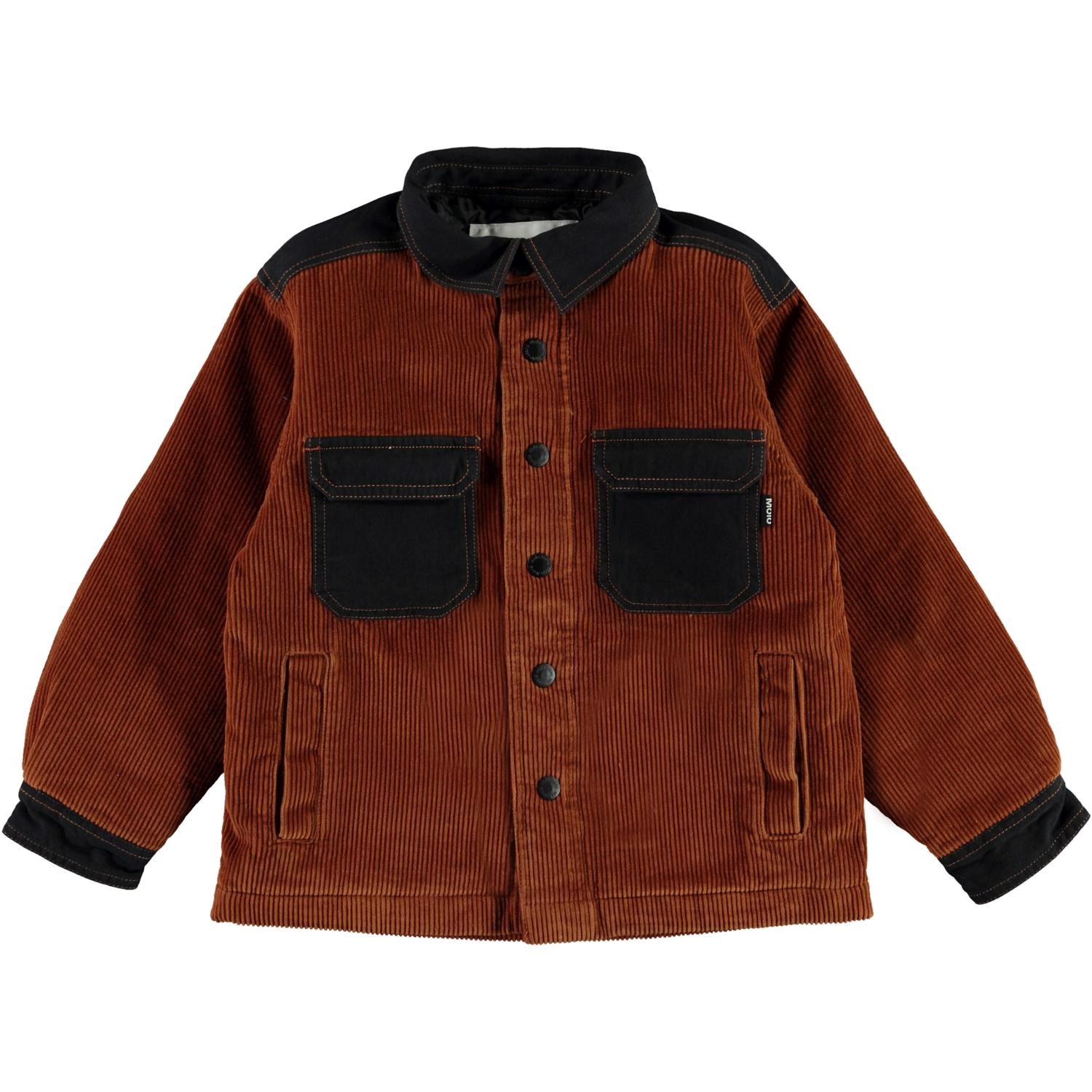 Henley - Iron - Brown overshirt jacket in corduroy - Molo