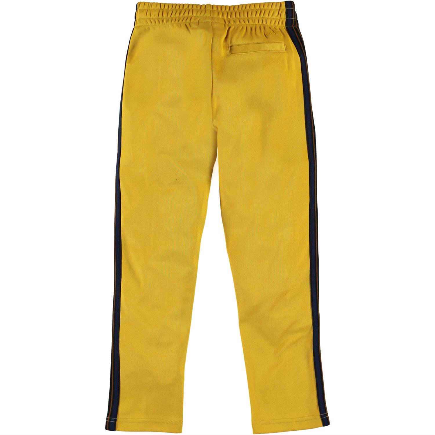 Anakin - Nugget Gold - Golden track pants with black stripe - Molo