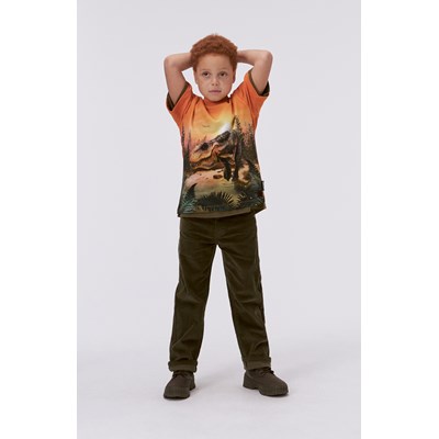 Riley - Dino Lake - Orange organic t-shirt with dinosaur print - Molo