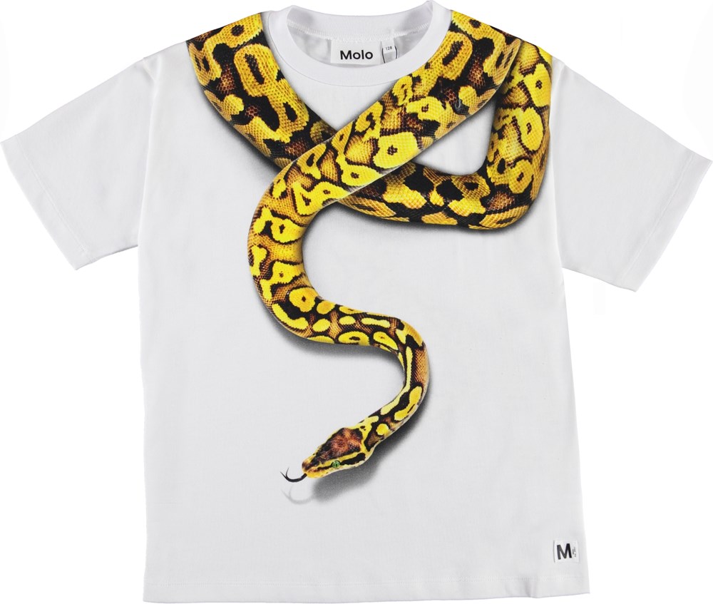 Rillo - Snake Charmer - White t-shirt with snake print - Molo