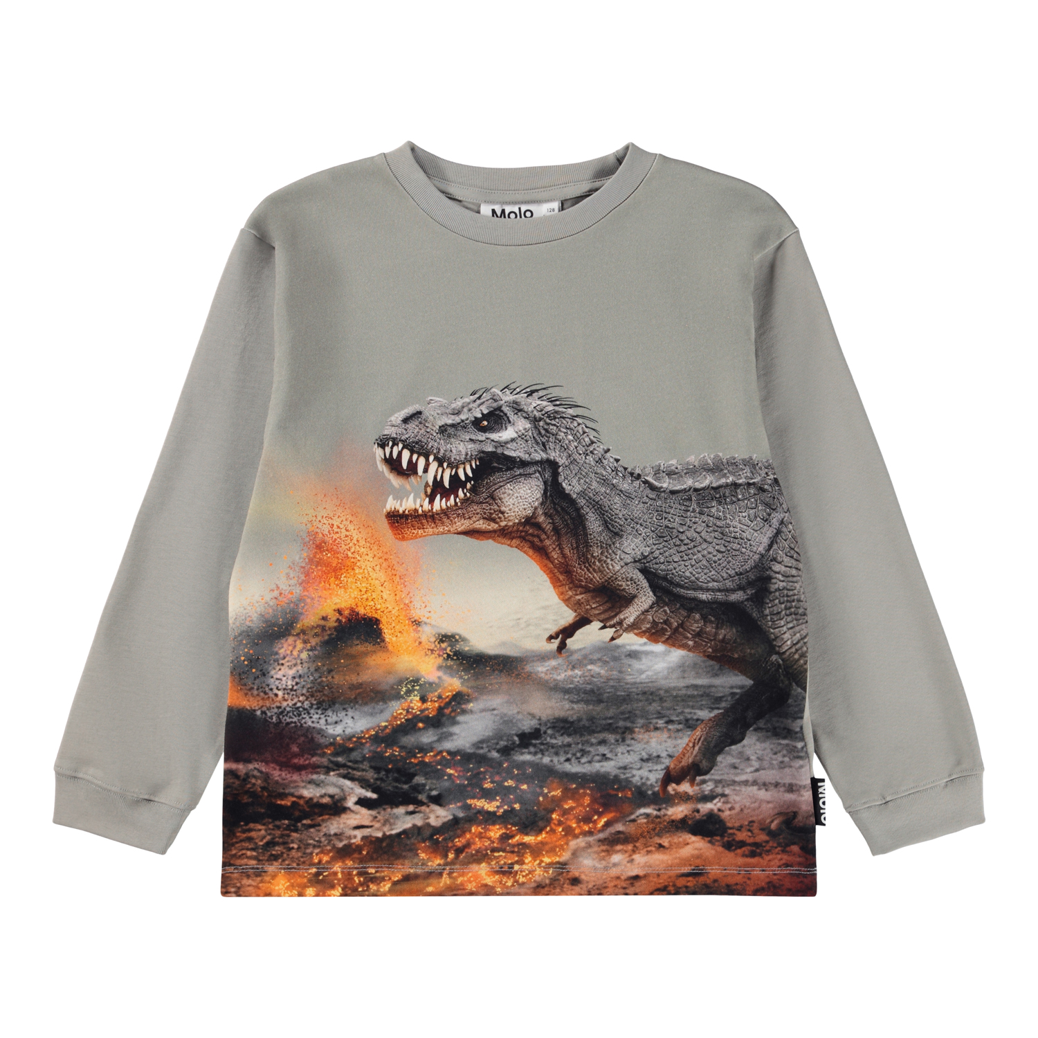 Rube - Dinosaur Fog - Khaki-coloured, long-sleeved top for children ...