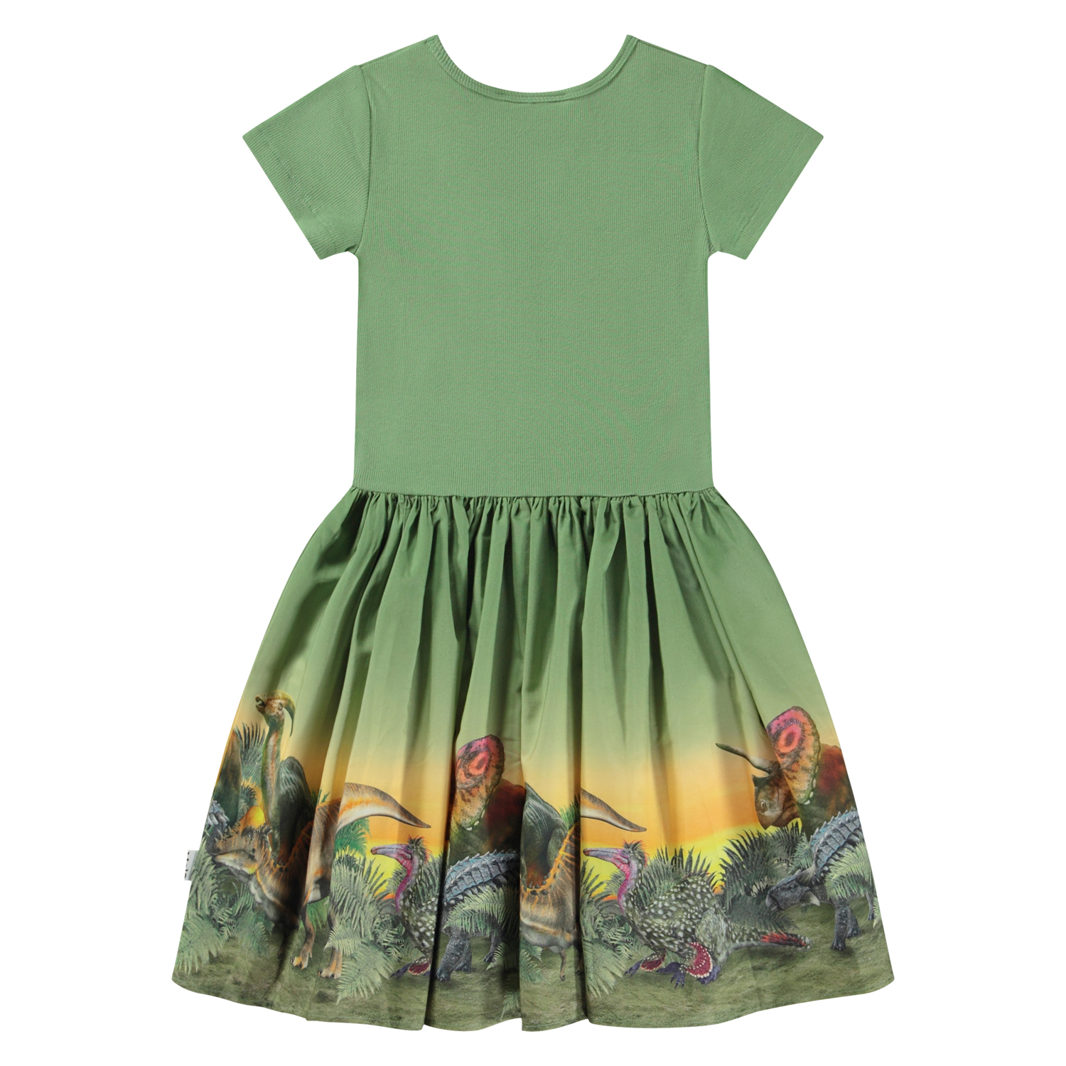 Cissa Dino Stroll Green organic knee length dress with poplin skirt in dinosaur print Molo
