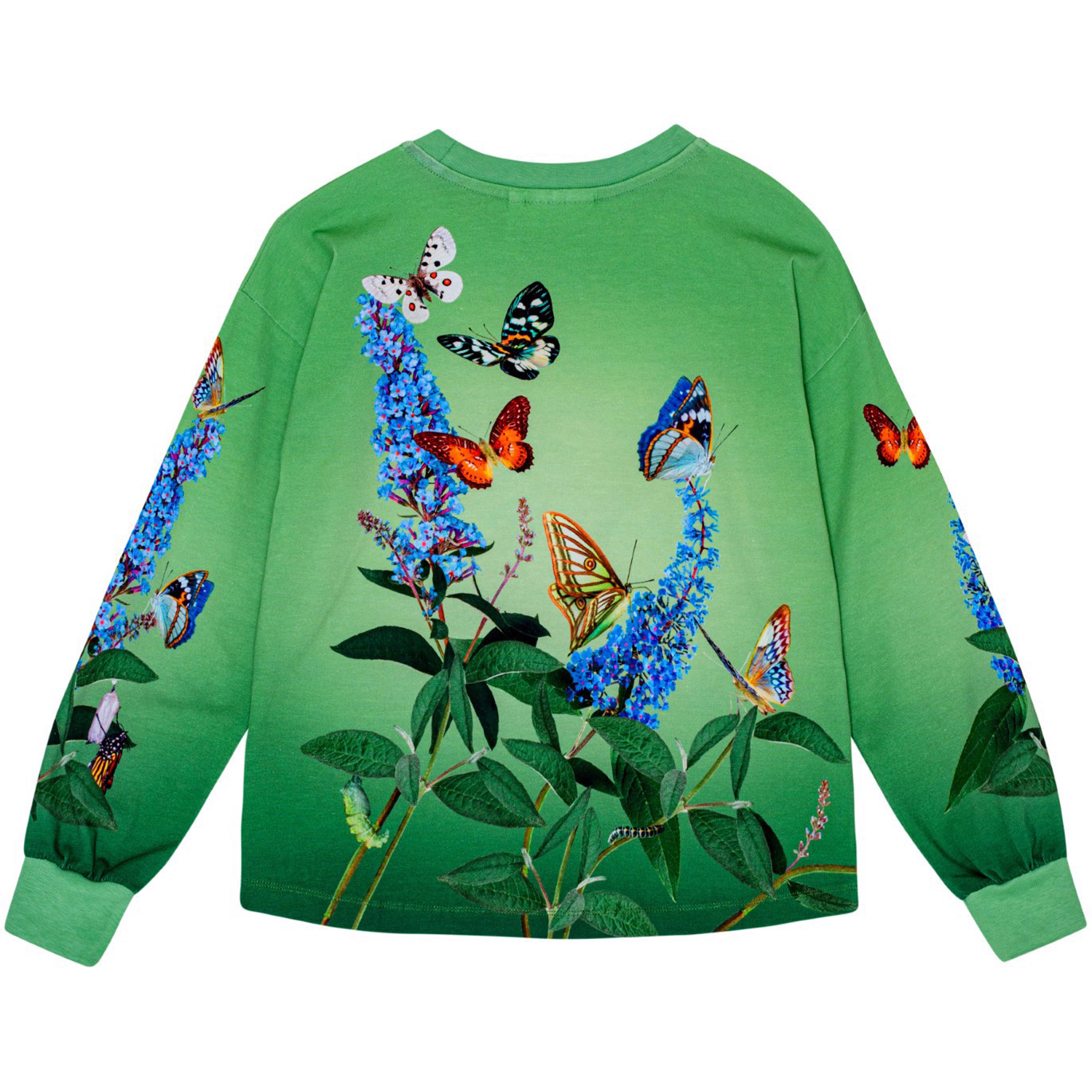 Reniza - Busy Buddleja - Loose green top with butterfly print. - Molo
