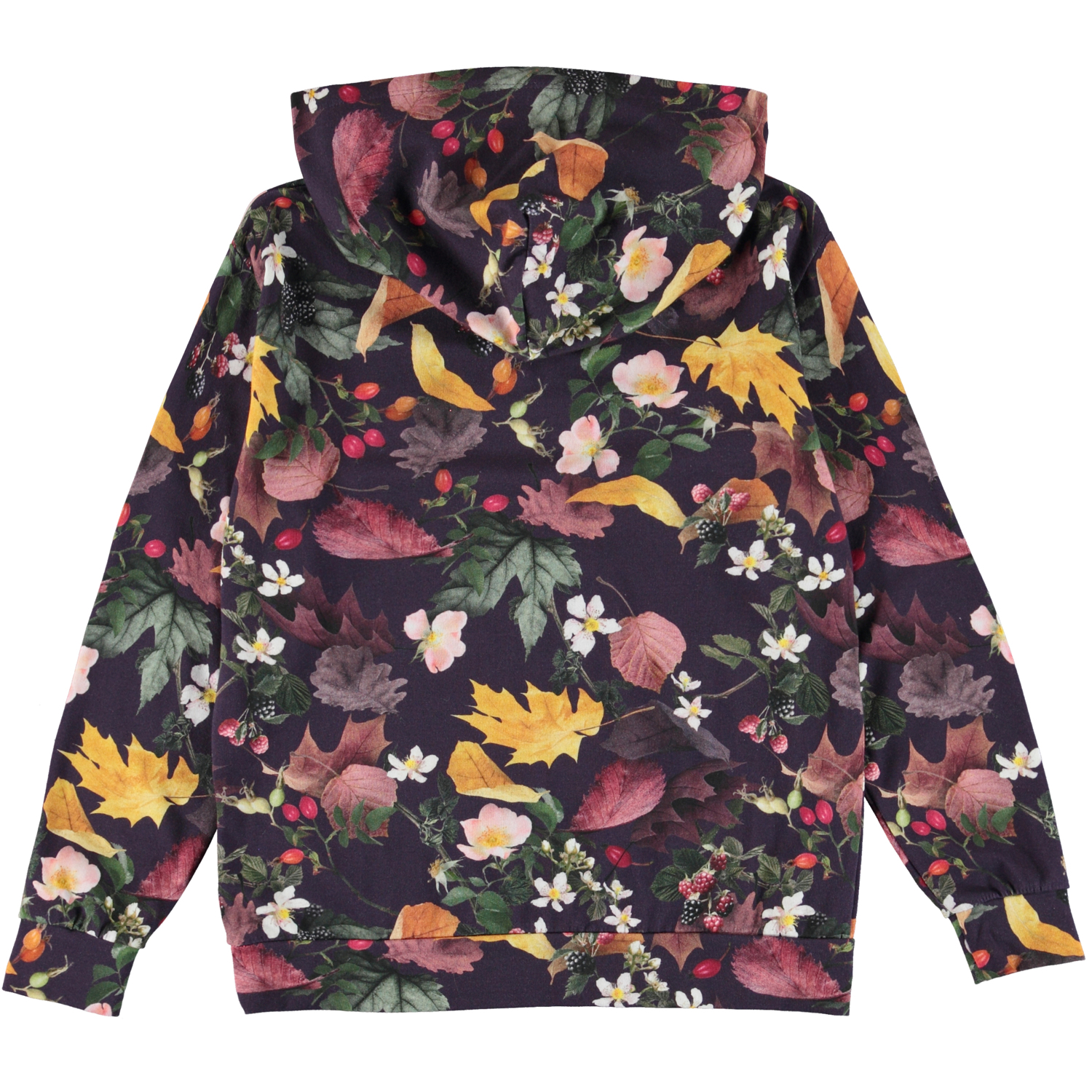 Rhona - Berry Picking - Purple organic hoodie with blackberry print - Molo