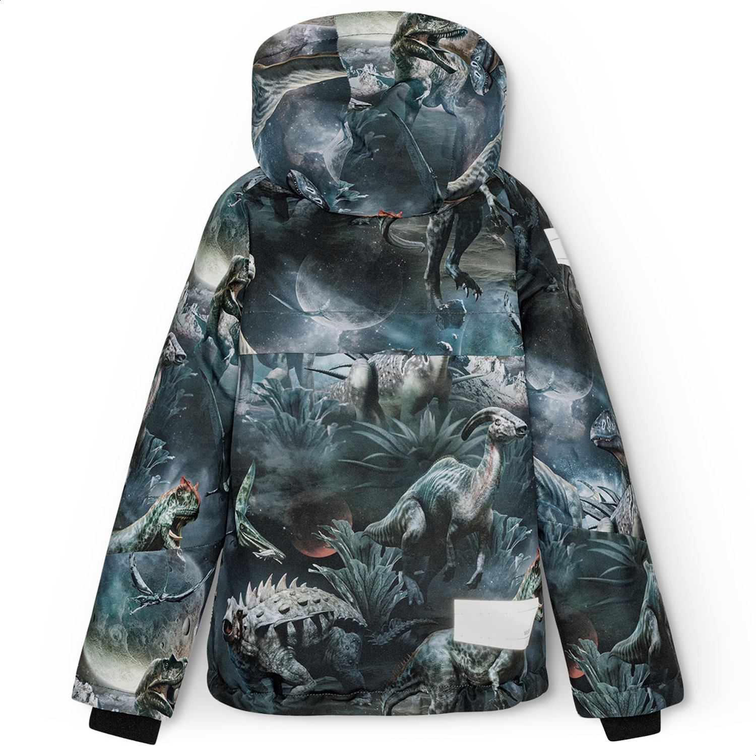 Castor - Dino In Space - Wind- and waterproof winter jacket for ...