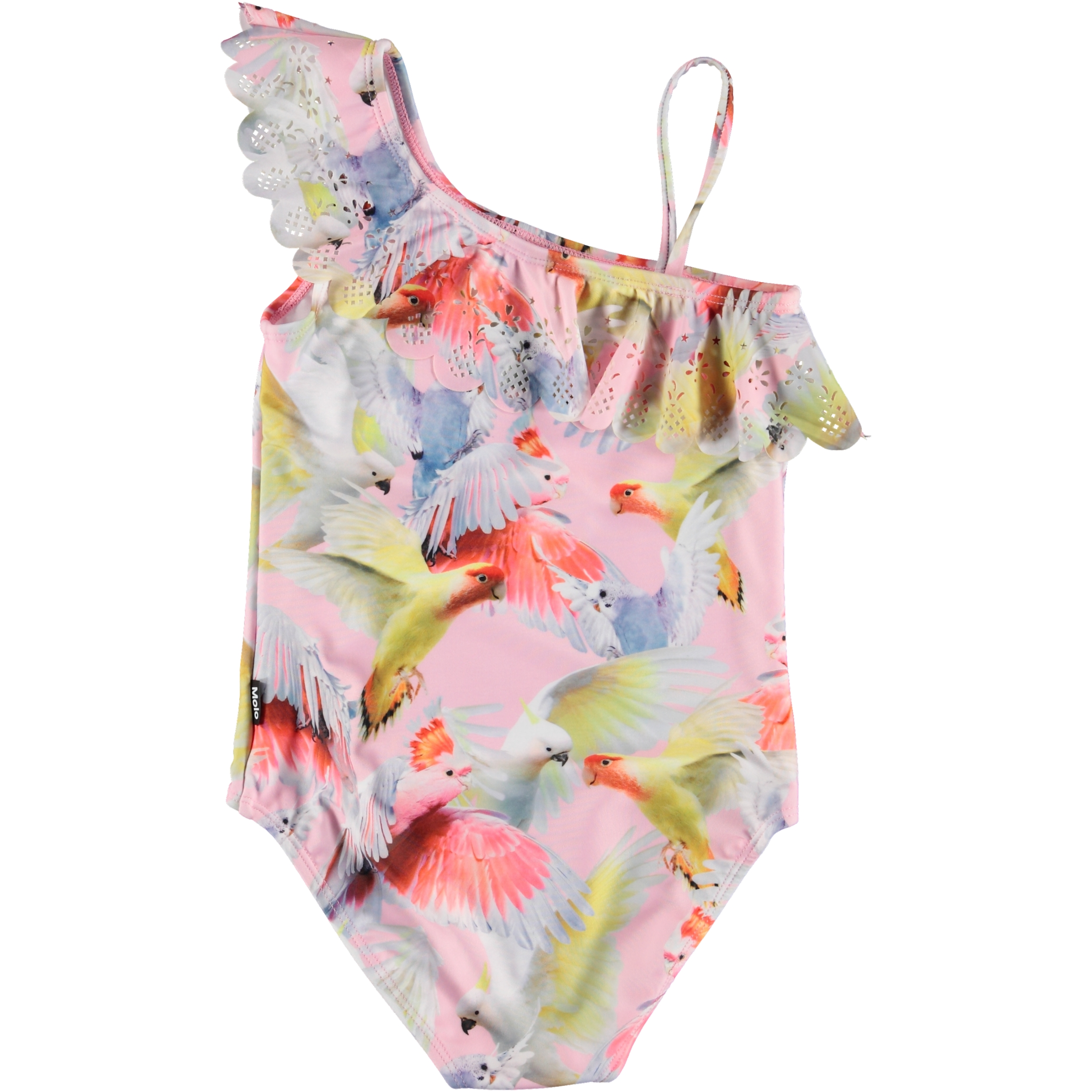 Net - Cockatoos - UV swimsuit with parrot print and ruffles - Molo