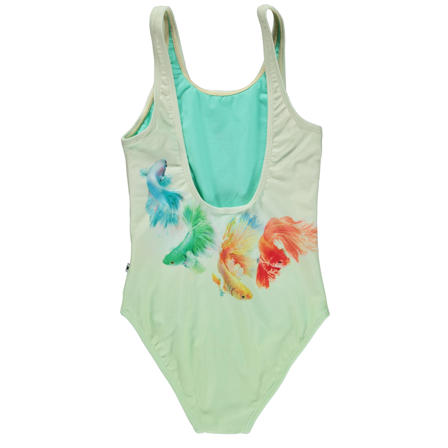 Nika - Balance - Light green swimsuit with placement fish print - Molo