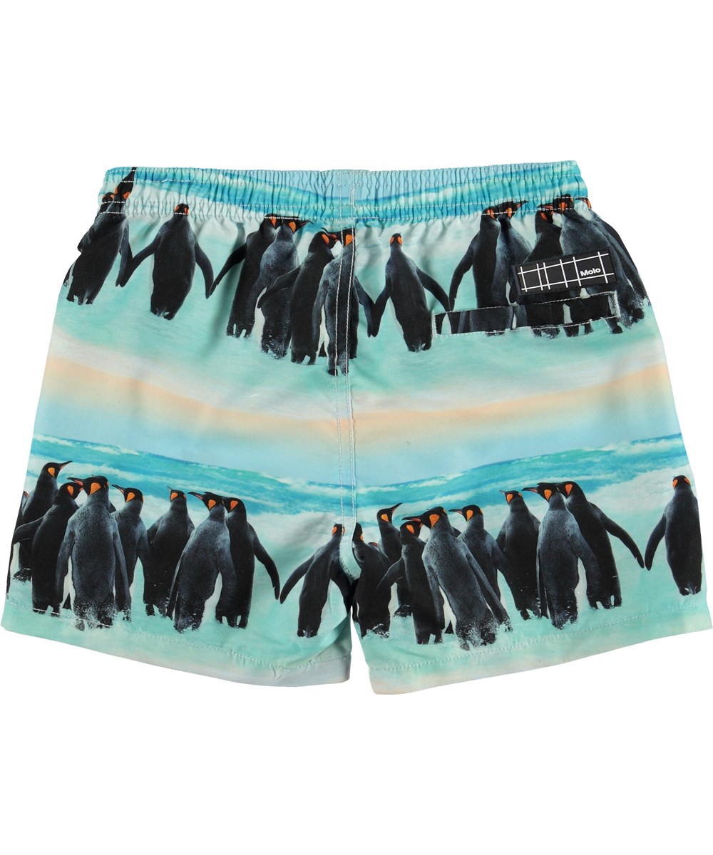 Niko - Penguin Stripe - UV swim trunks with penguin print - Molo