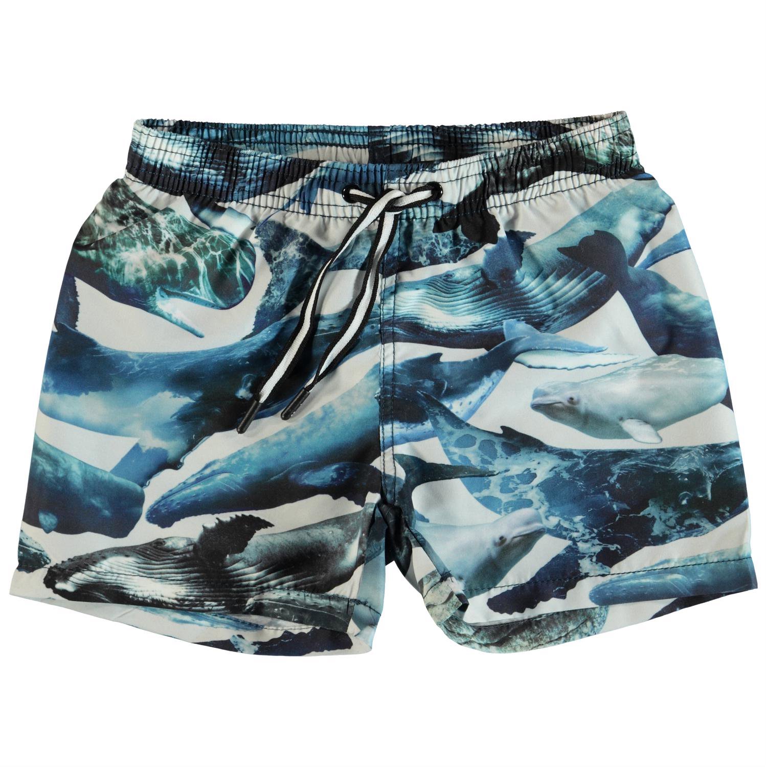 Niko - Whales - Swim trunks with whales - Molo
