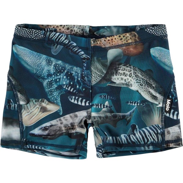 Norton - Amazing Sharks - UV short swim trunks with sharks - Molo