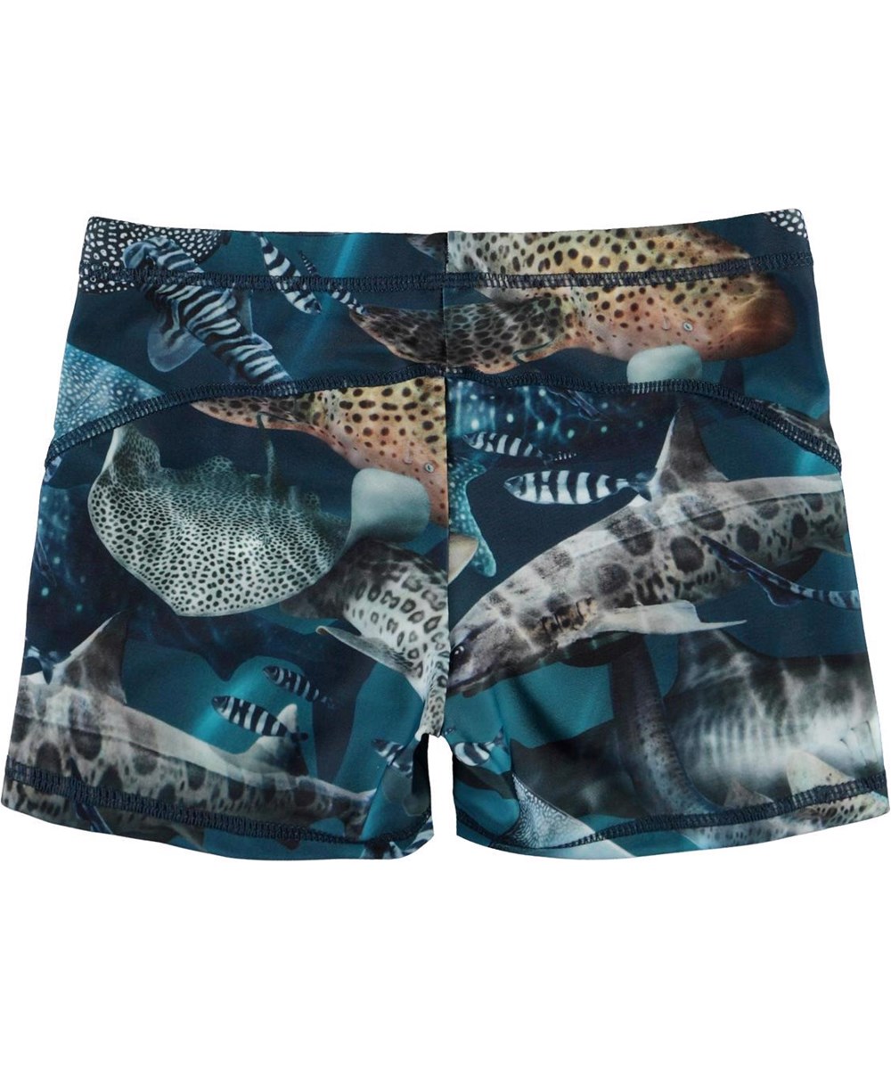Norton - Amazing Sharks - UV short swim trunks with sharks - Molo